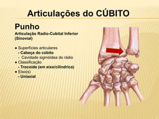 Cubito | PPTX