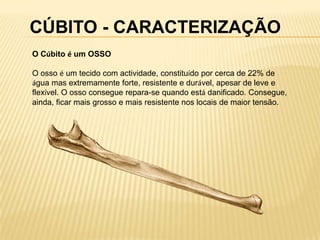 Cubito | PPTX