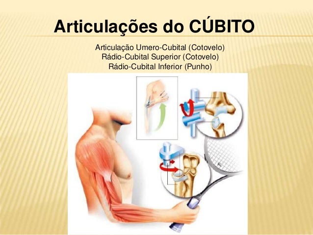 Cubito