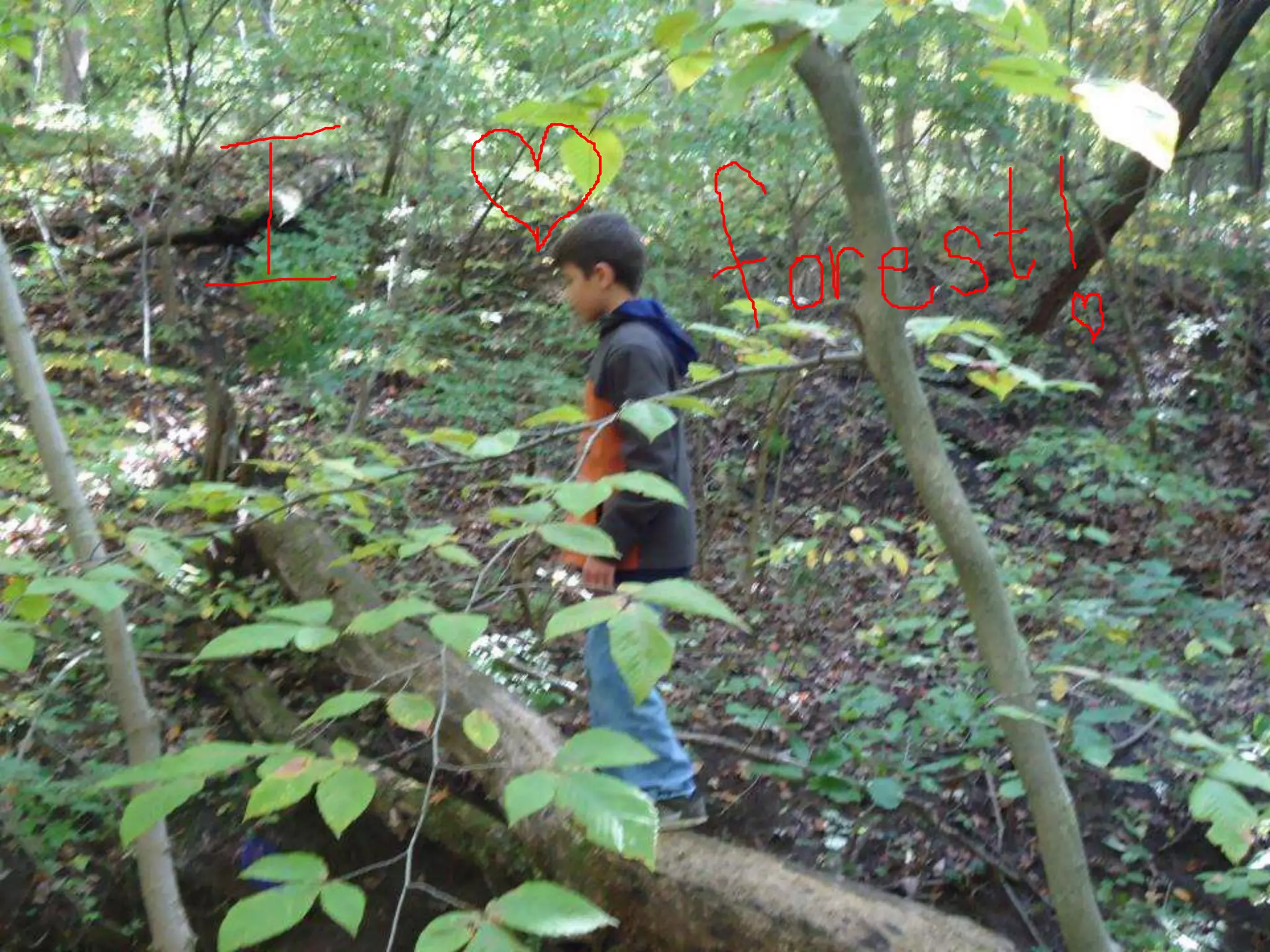 Cub scout jacob pp | PPTX
