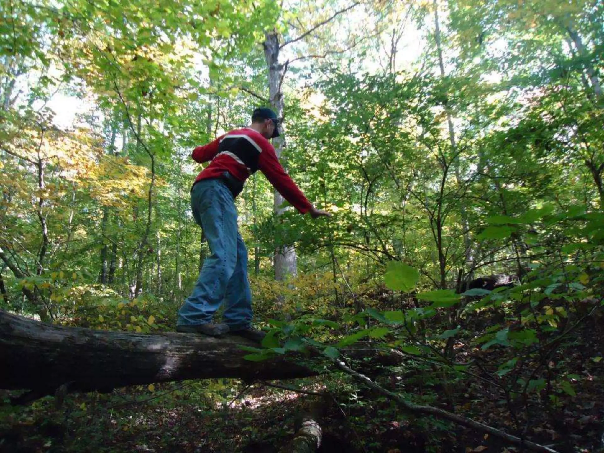 Cub scout jacob pp | PPTX