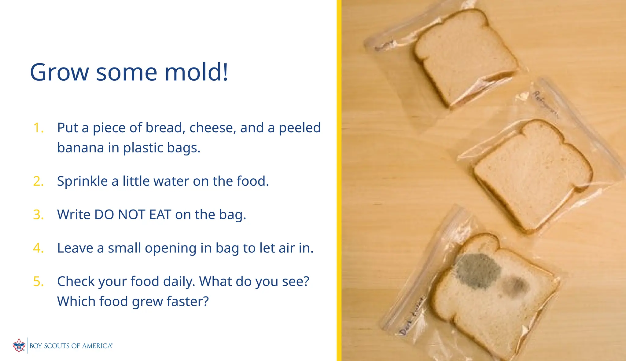 Cub Scouts Germs Alive Adventure Loop Presentation | PPT