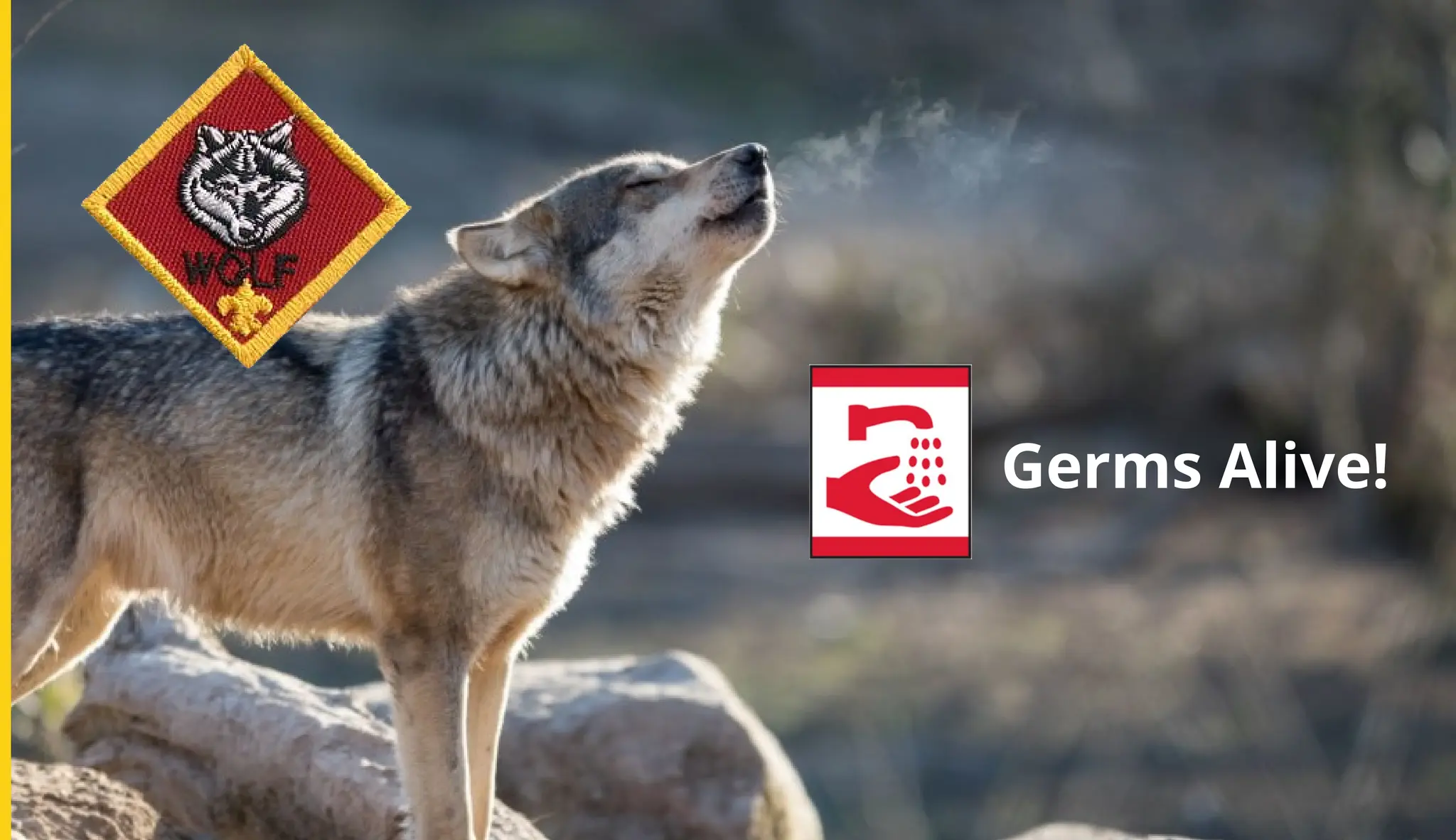 Cub Scout Germs Alive Virtual Presentation | PPT