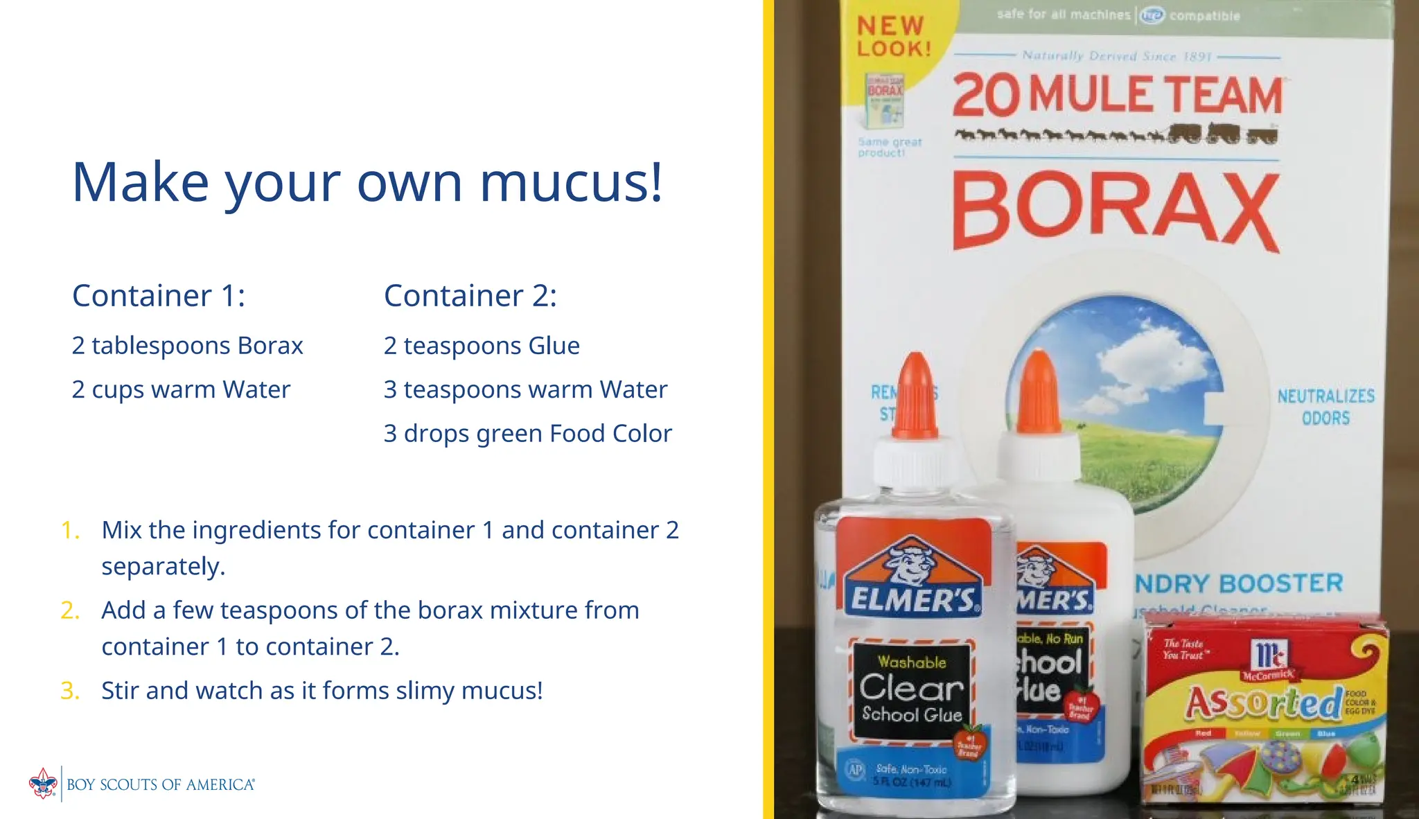 Cub Scout Germs Alive Virtual Presentation | PPT