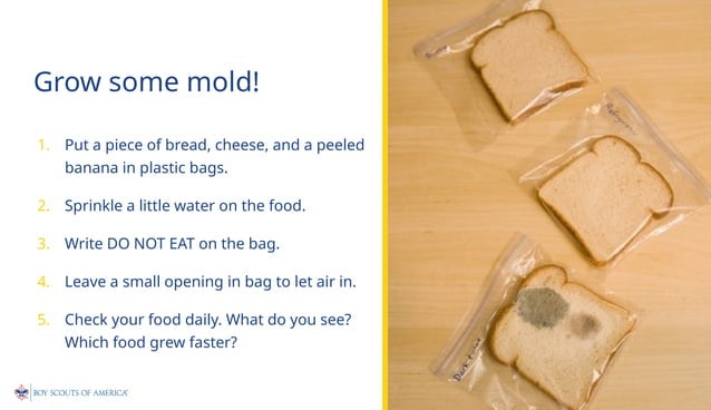 Cub Scout Germs Alive Virtual Presentation | PPT