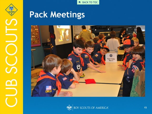 Cubmaster's Toolbox | PPT