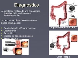 CUCI | PPT