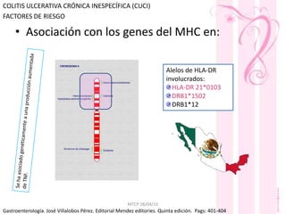 Cuci completa | PPTX