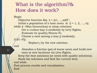 Cuckoo Optimization ppt | PPTX