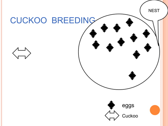Cuckoo search algorithm | PPTX | Biological Sciences | Science