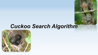 Cuckoo Search & Firefly Algorithms | PPTX