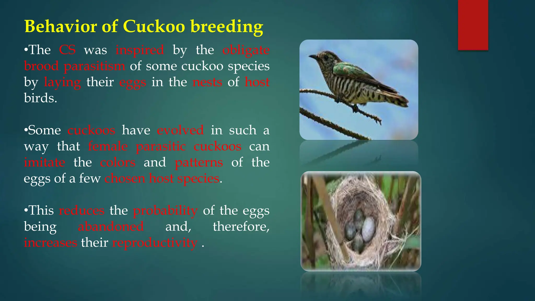 Cuckoo Search Algorithm (CSA) (Swarm Intelligence) | PPTX