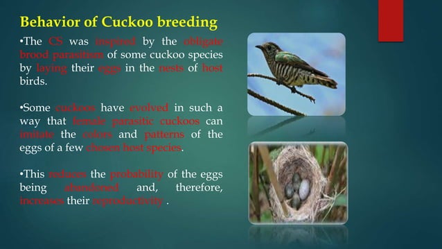 Cuckoo Search Algorithm (CSA) (Swarm Intelligence) | PPTX