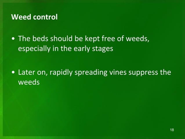 Cucumber | PPTX | Gardening | Home & Garden