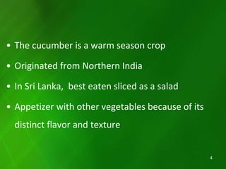 Cucumber | PPTX