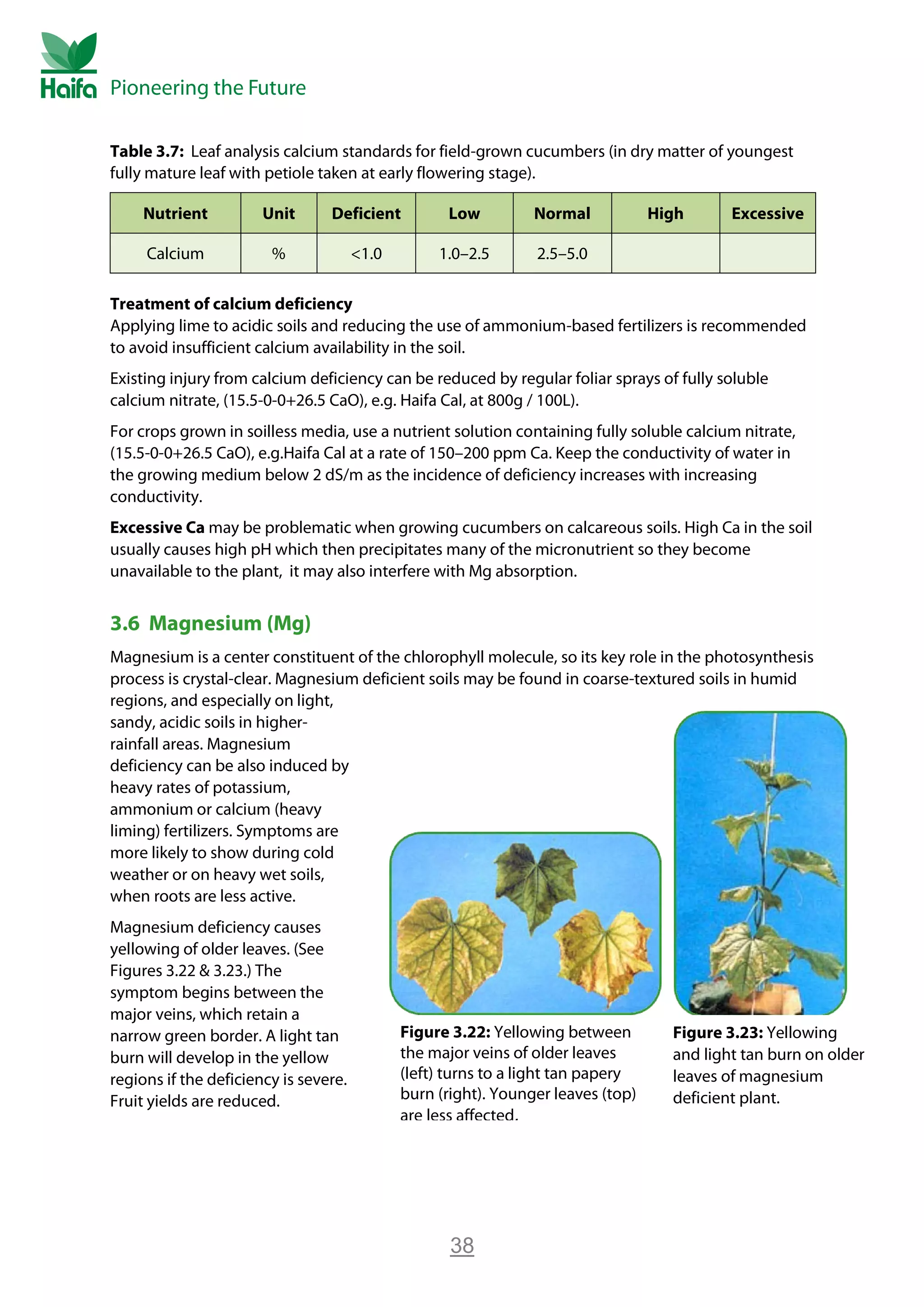 Cucumber Crop Guide - Cucumber Fertilizer | PDF