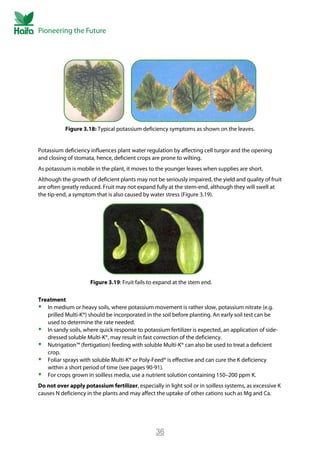 Cucumber Crop Guide - Cucumber Fertilizer | PDF