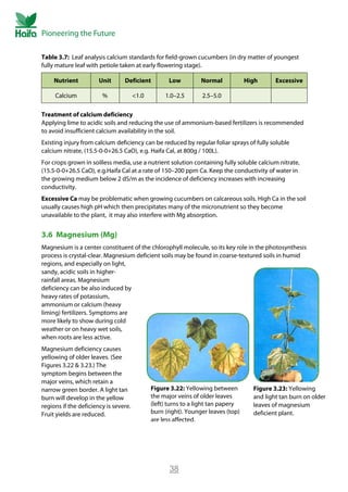 Cucumber Crop Guide - Cucumber Fertilizer | PDF