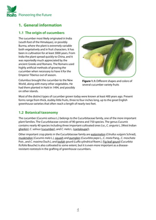 Cucumber Crop Guide - Cucumber Fertilizer | PDF