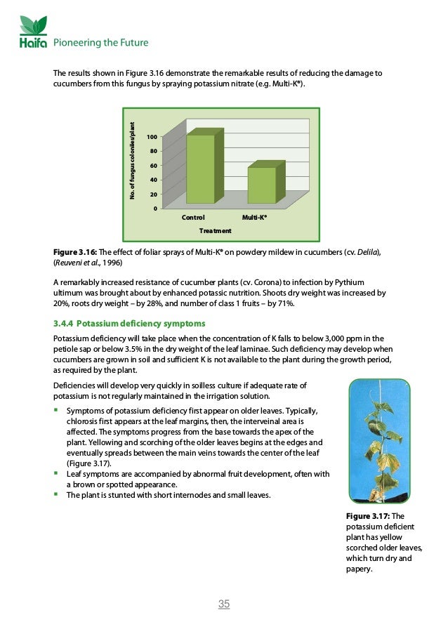 Cucumber Crop Guide - Cucumber Fertilizer