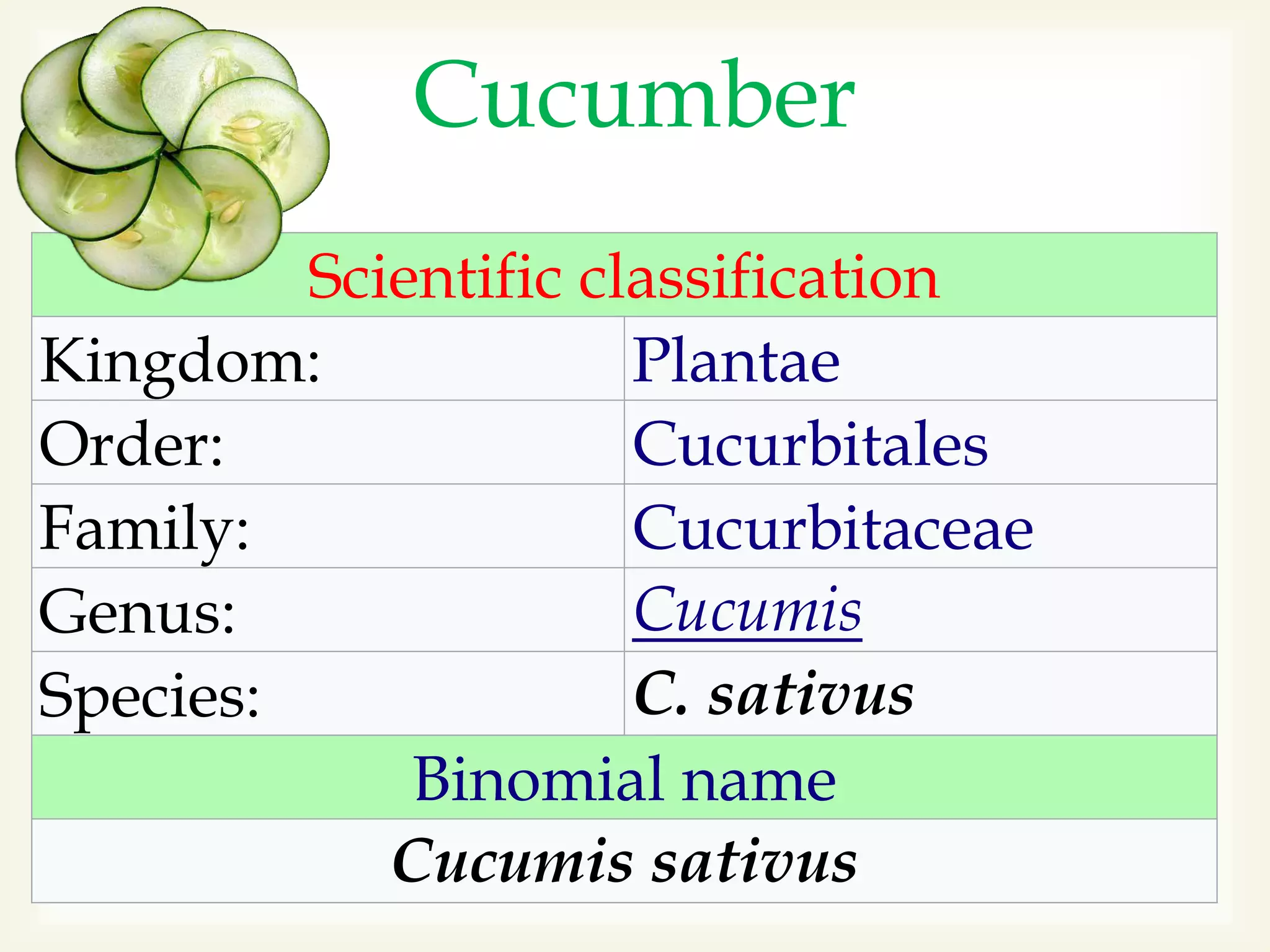 Cucumber production in Bangladesh. | PPTX