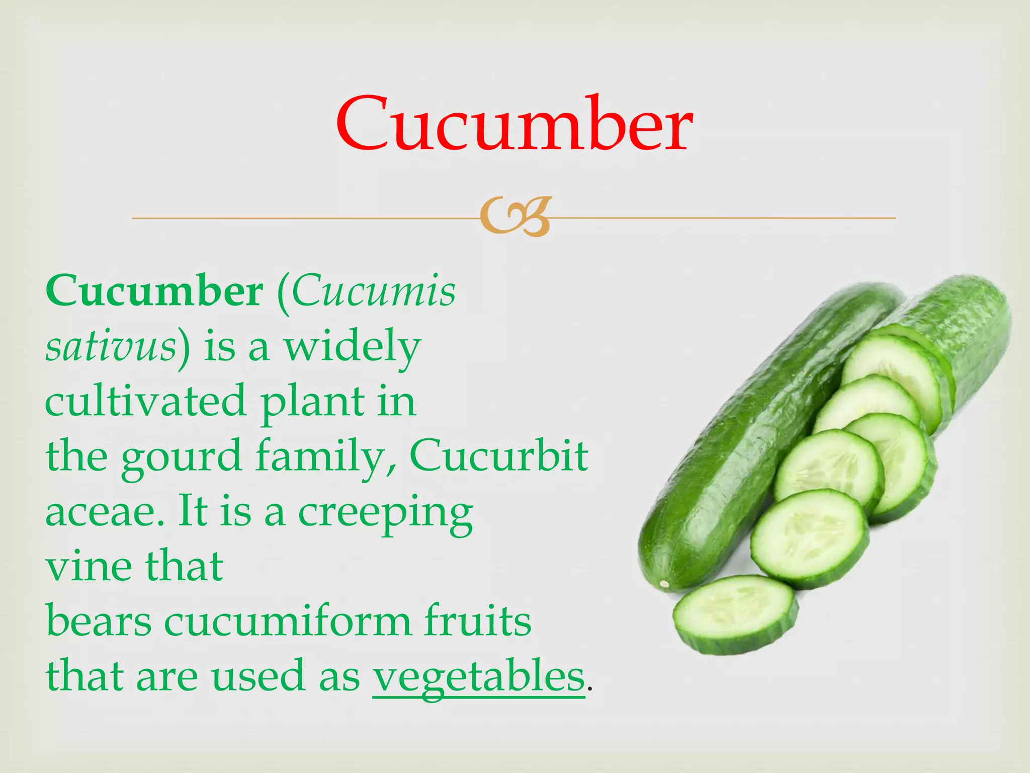 Cucumber production in Bangladesh. | PPTX