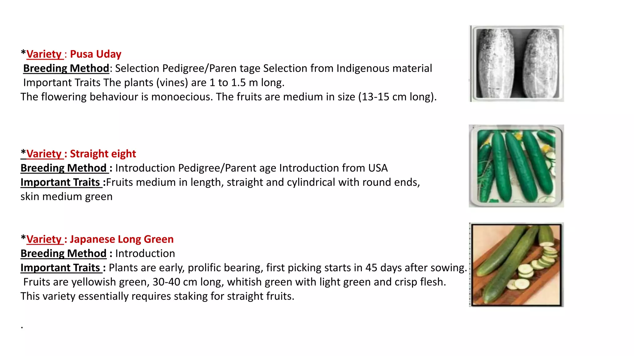 Production technology of Cucumber | PPTX