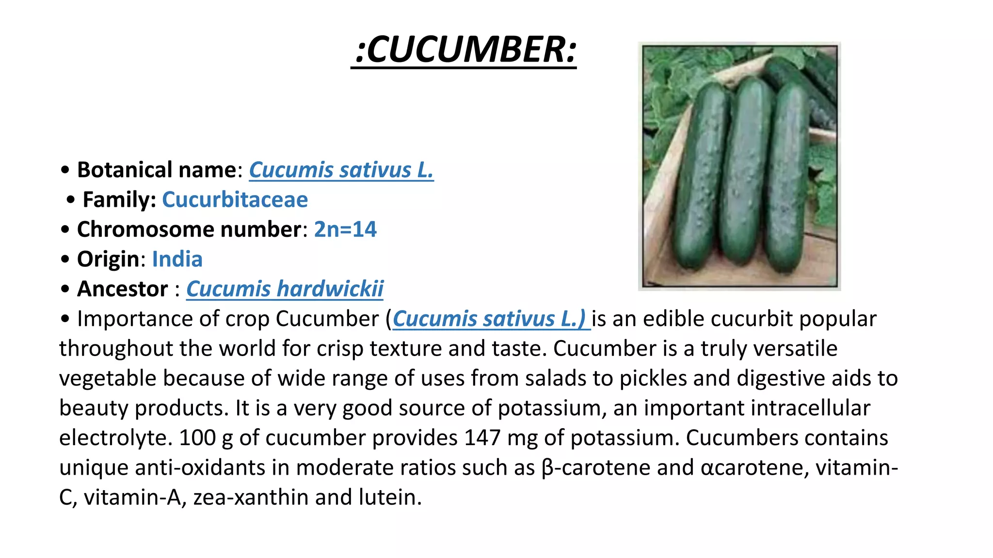 Production technology of Cucumber | PPTX