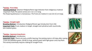 Production technology of Cucumber | PPTX