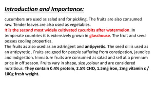 Production technology of Cucumber | PPTX