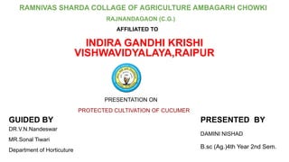 PROTECTED CULTIVATION OF CUCUMER | PPT