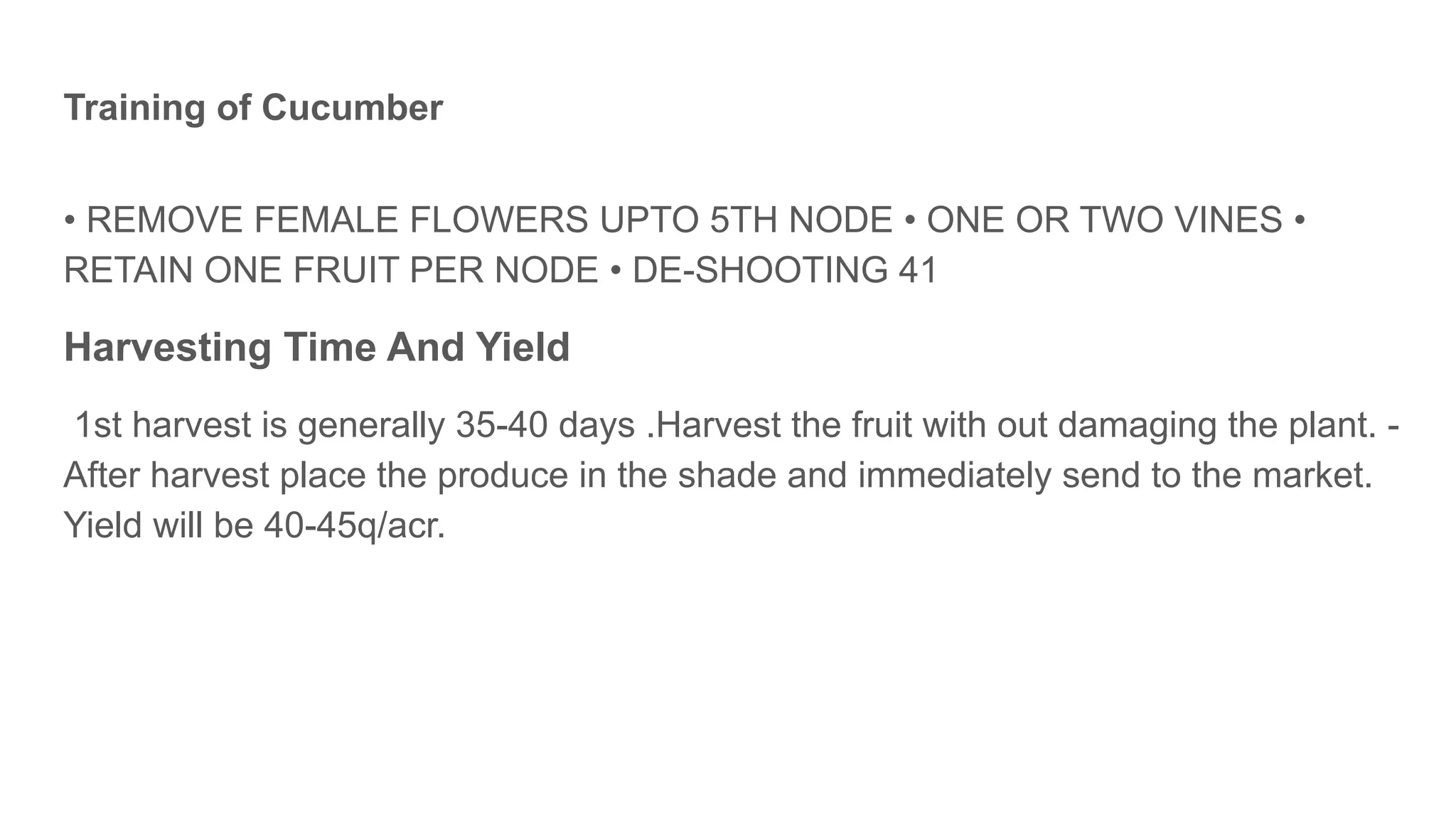 PROTECTED CULTIVATION OF CUCUMER | PDF