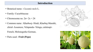 cucumber gpb project.pptx