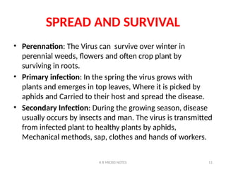 Cucumber Mosiac Virus K R. pptx | PPTX