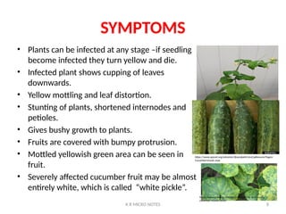 Cucumber Mosiac Virus K R. pptx | PPT