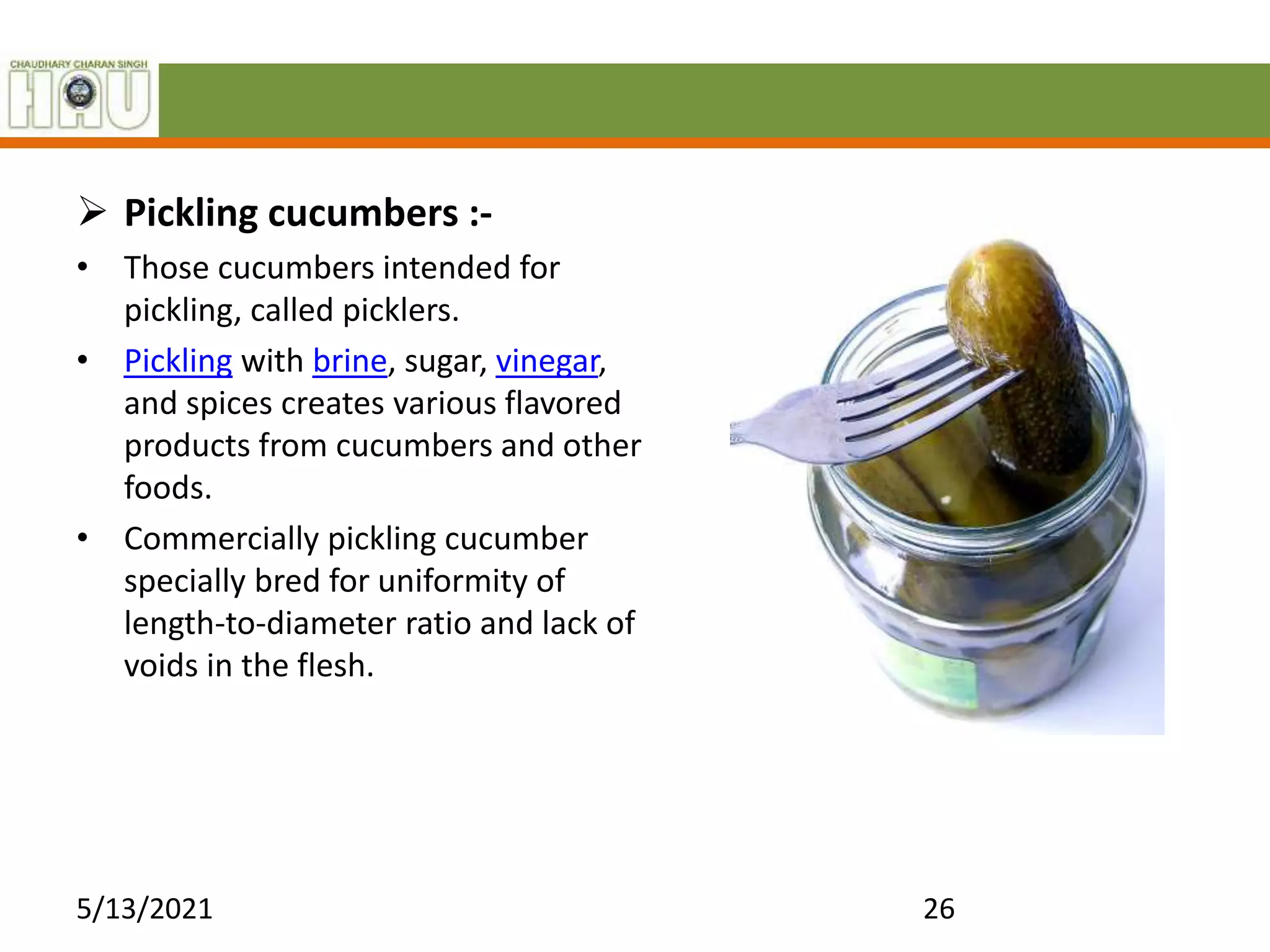 Cucumber | PPT | Gardening | Home & Garden