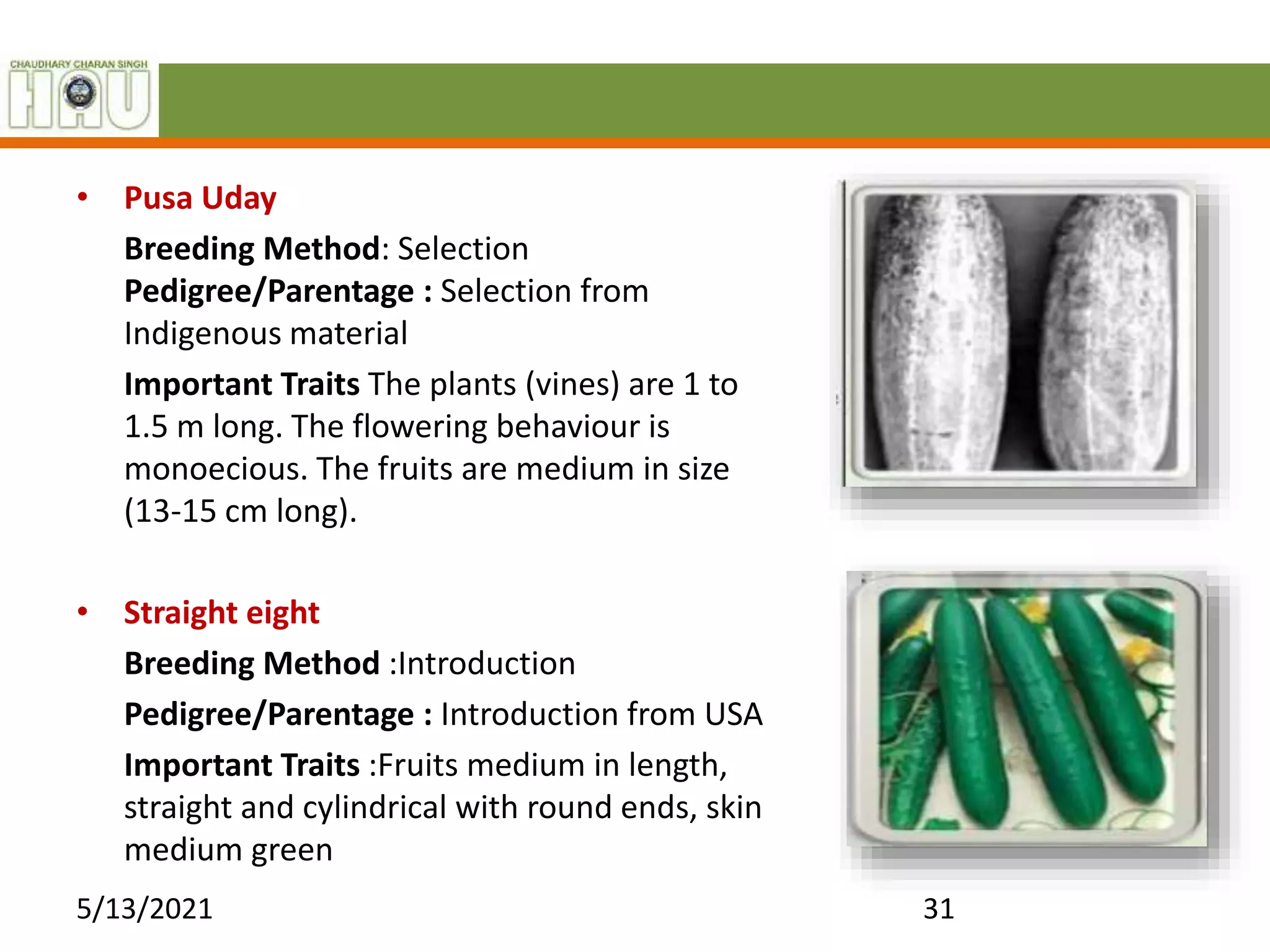 Cucumber | PPT | Gardening | Home & Garden