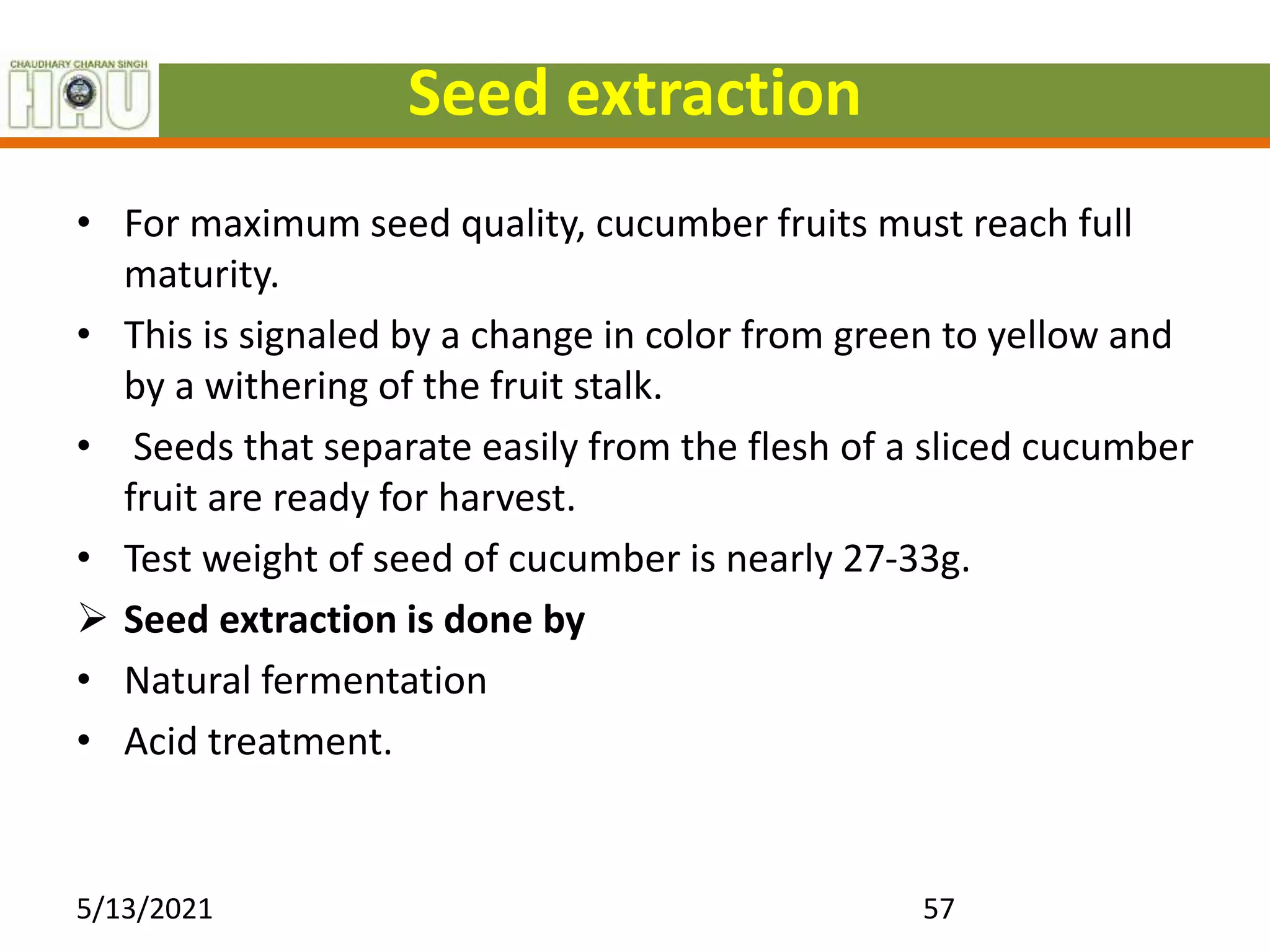 Cucumber | PPT