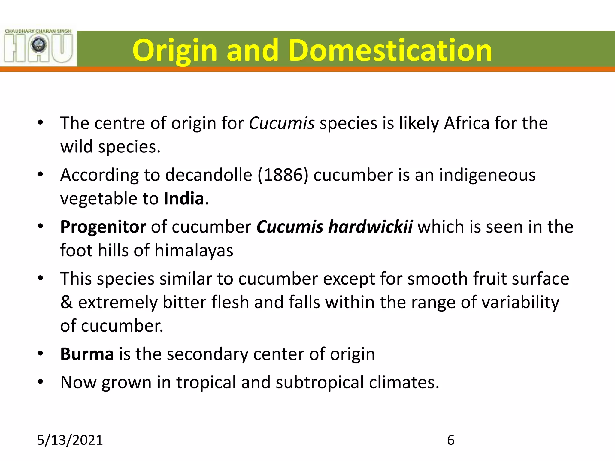 Cucumber | PPT