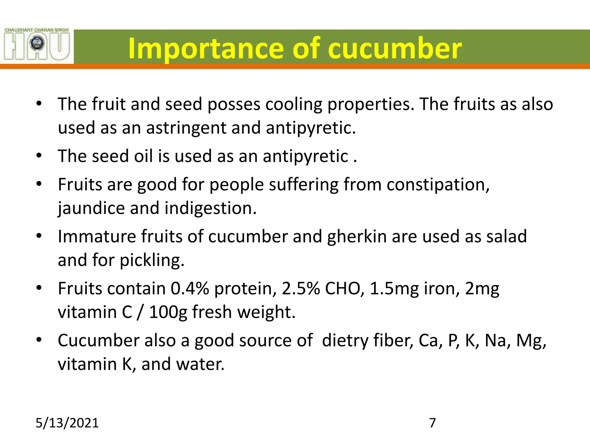 Cucumber | PPT