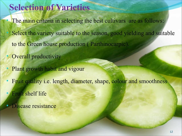 Cucumber production technology | PPT | Gardening | Home & Garden