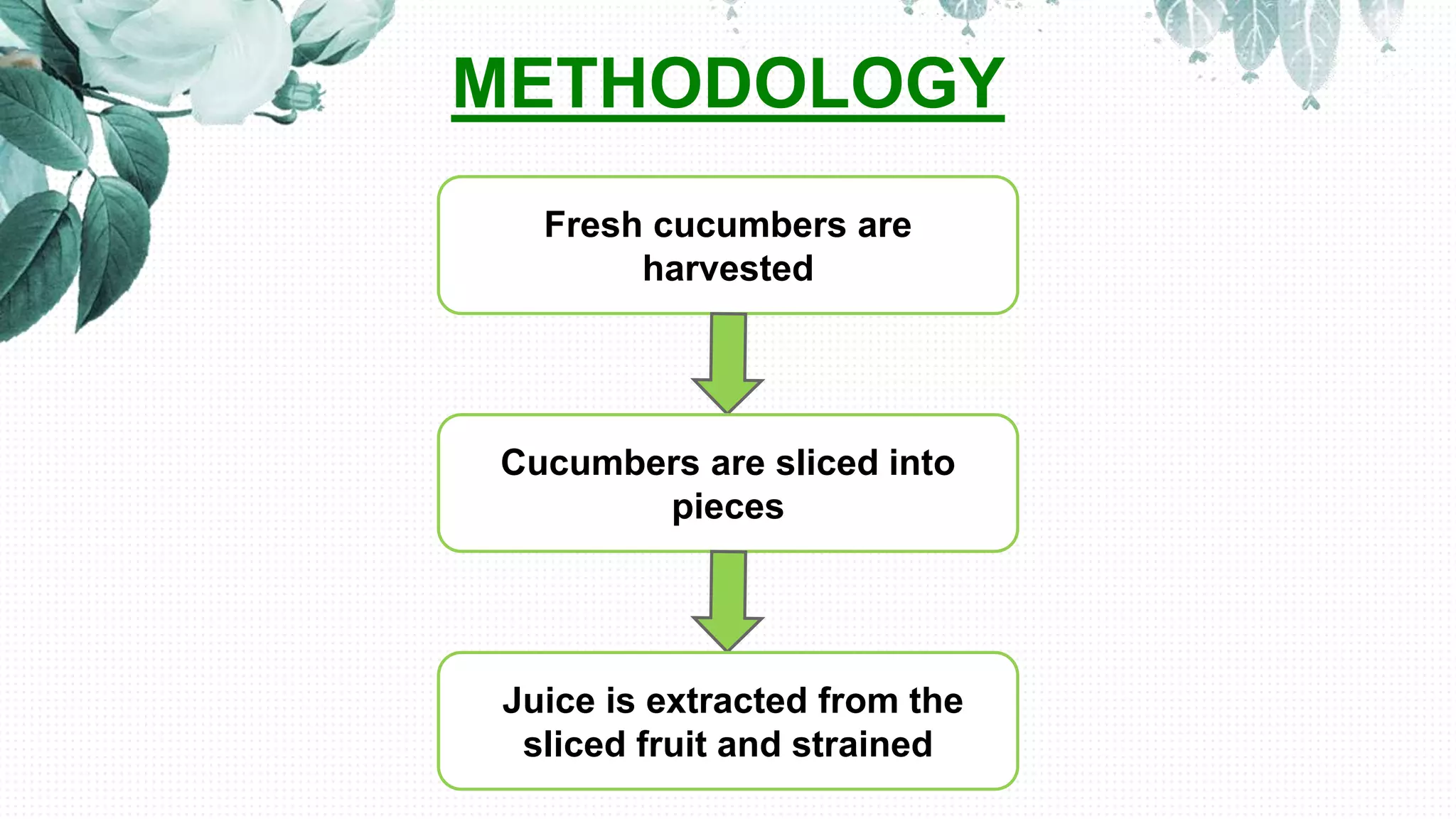 Cucumber RTS Drink | PPTX