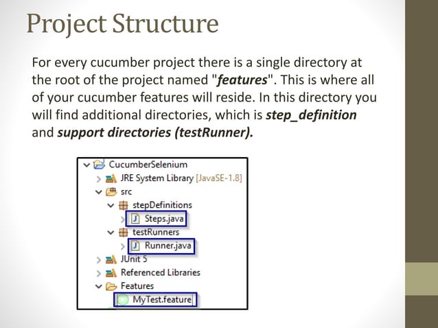 Cucumber With Selenium | PPTX | Programming Languages | Computing