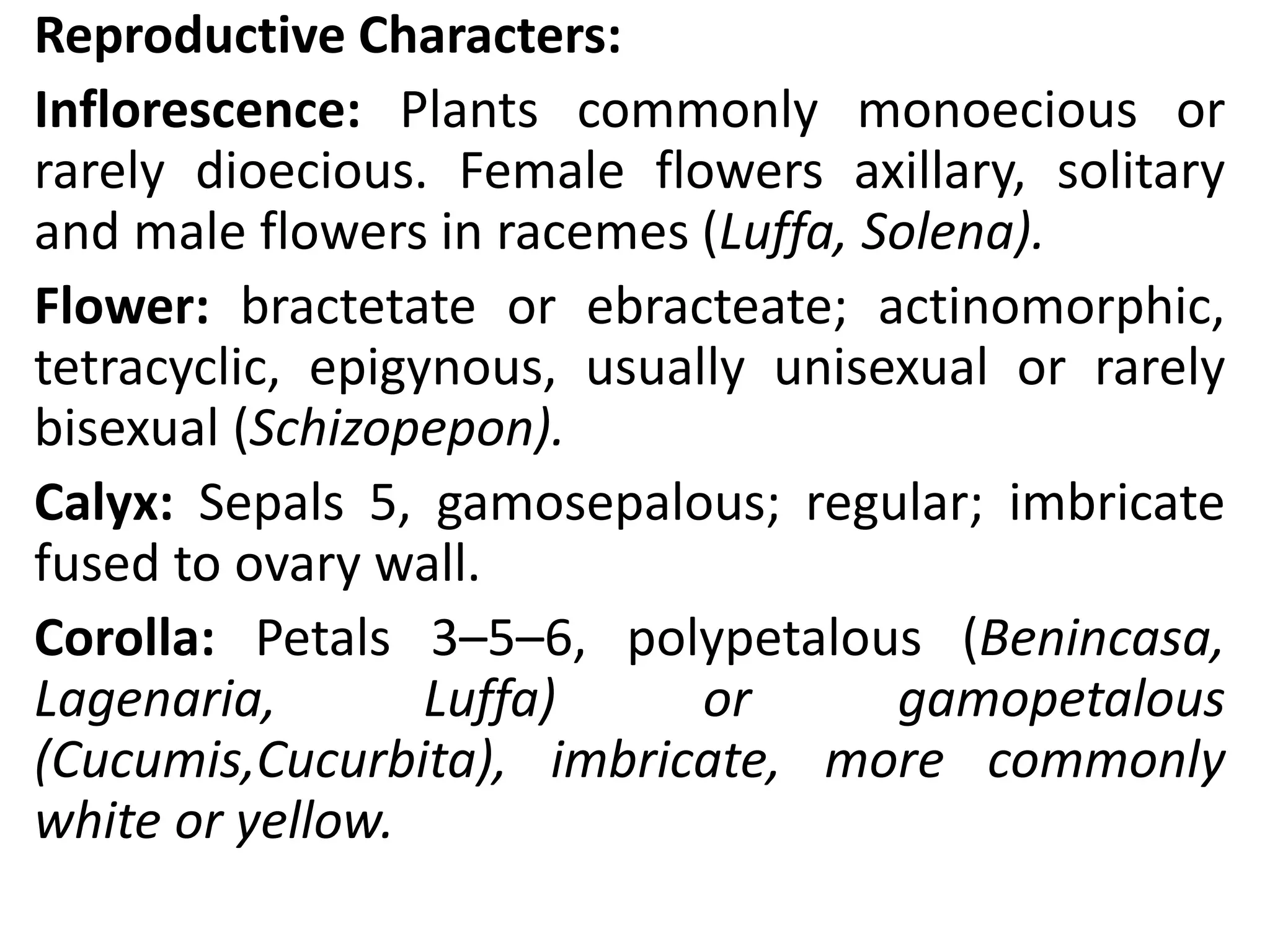 Cucurbitaceae | PPTX