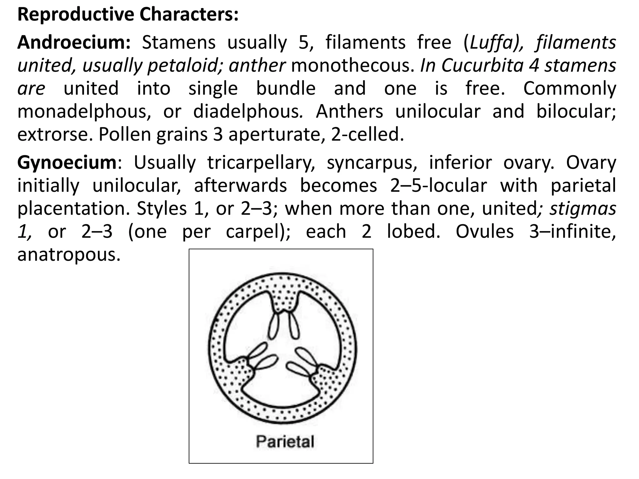 Cucurbitaceae | PPTX | Gardening | Home & Garden