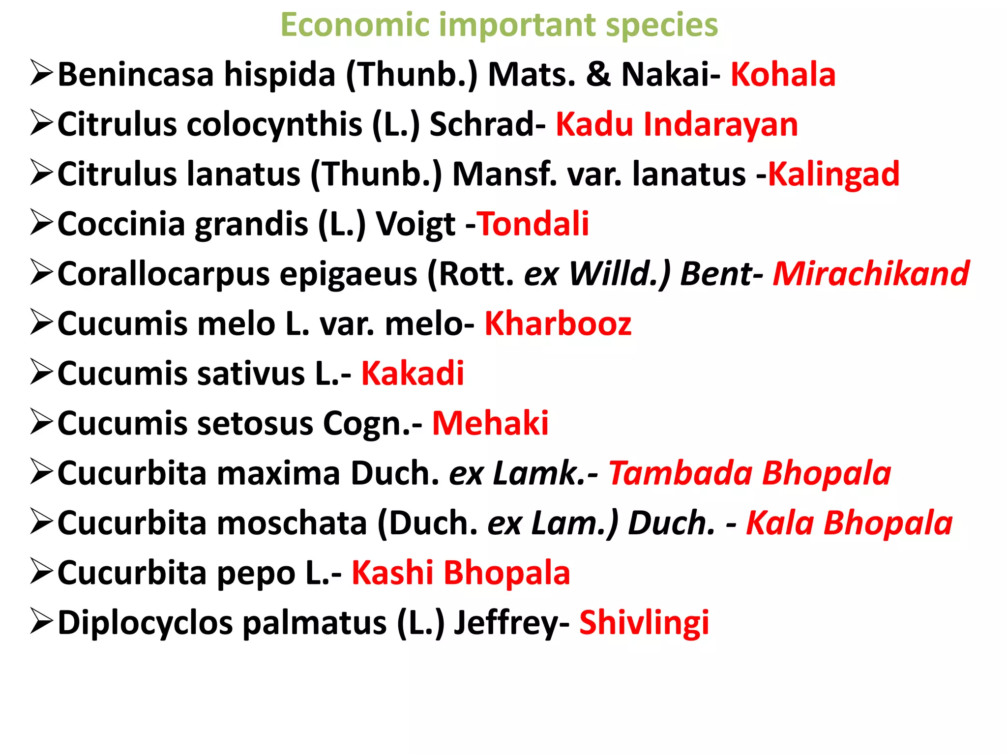 Cucurbitaceae | PPTX