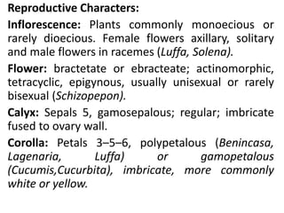 Cucurbitaceae | PPTX