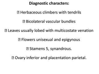 Cucurbitaceae | PPTX