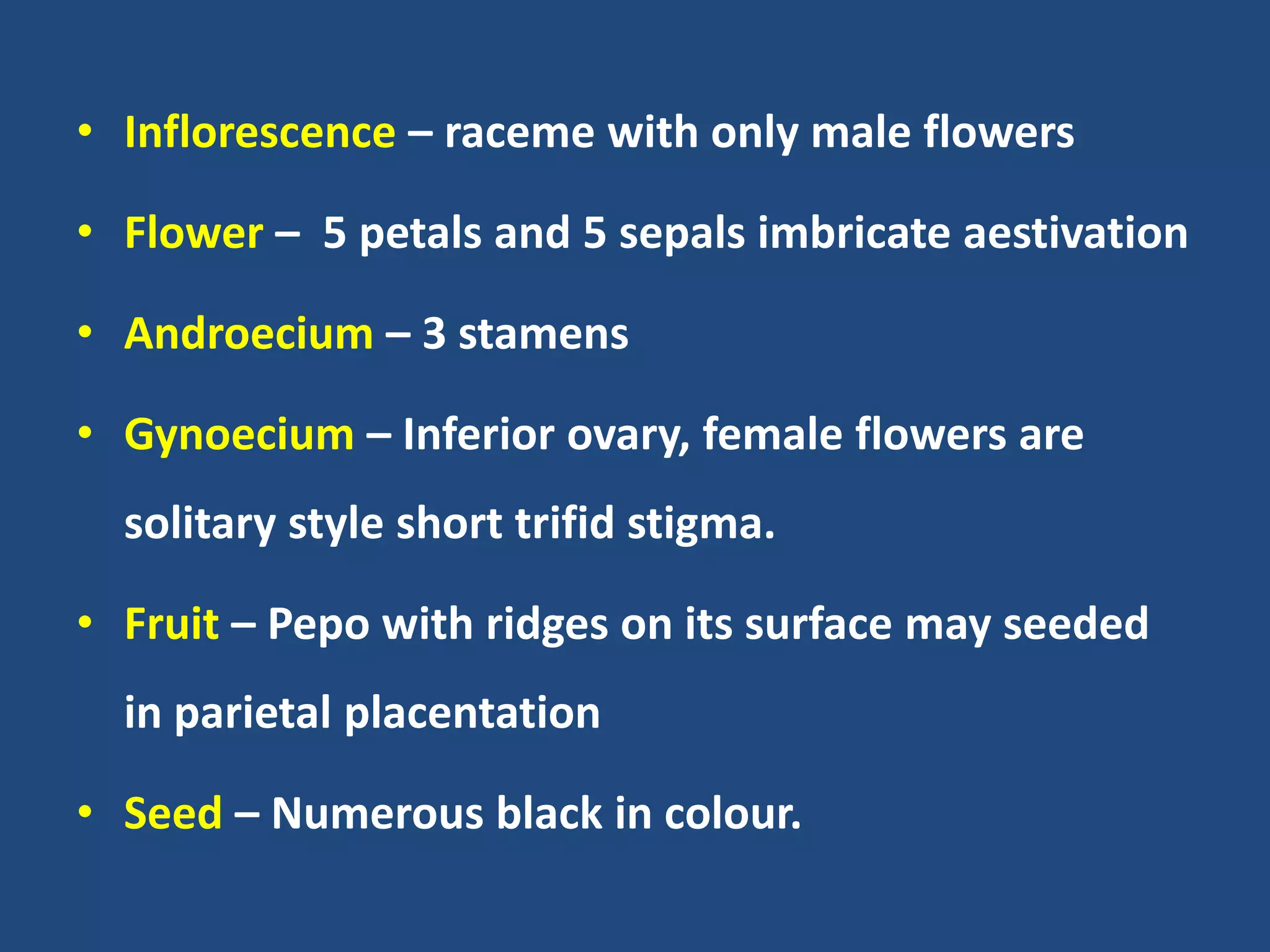 Cucurbitaceae | PPT