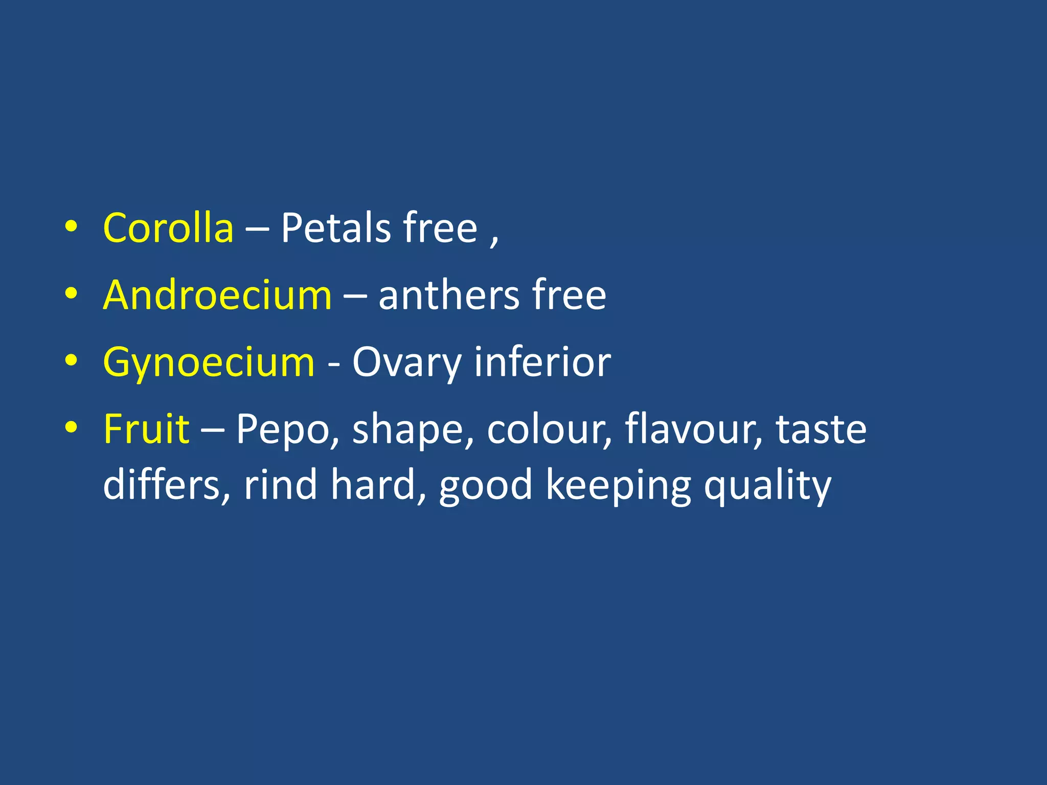 Cucurbitaceae | PPT
